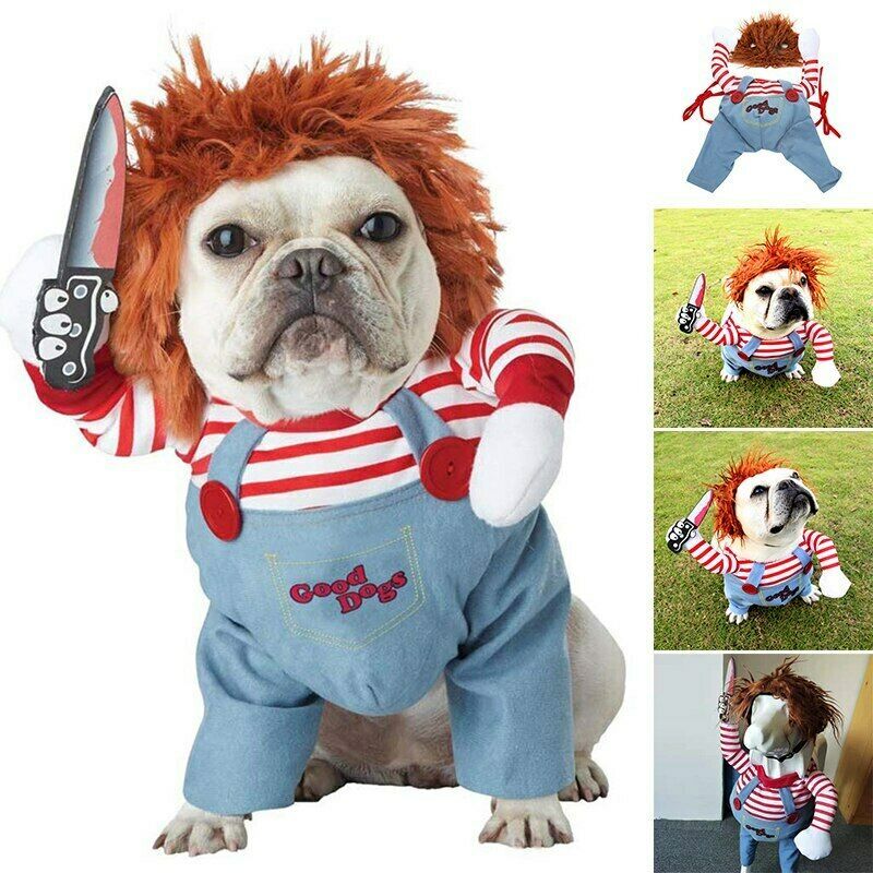 Halloween Scary Pet Costume – Sallye Shop