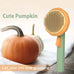 Pumpkin Self Cleaning Comb For Cat – Sallye Shop